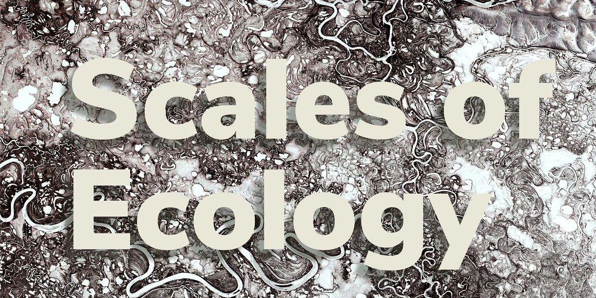 3rd Annual Conference: Scales of Ecology – "Russian Ecospheres"